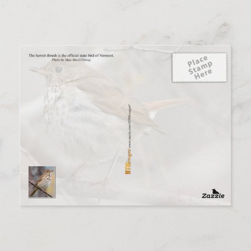 Vermont State Bird: Hermit Thrush Postcard | Zazzle