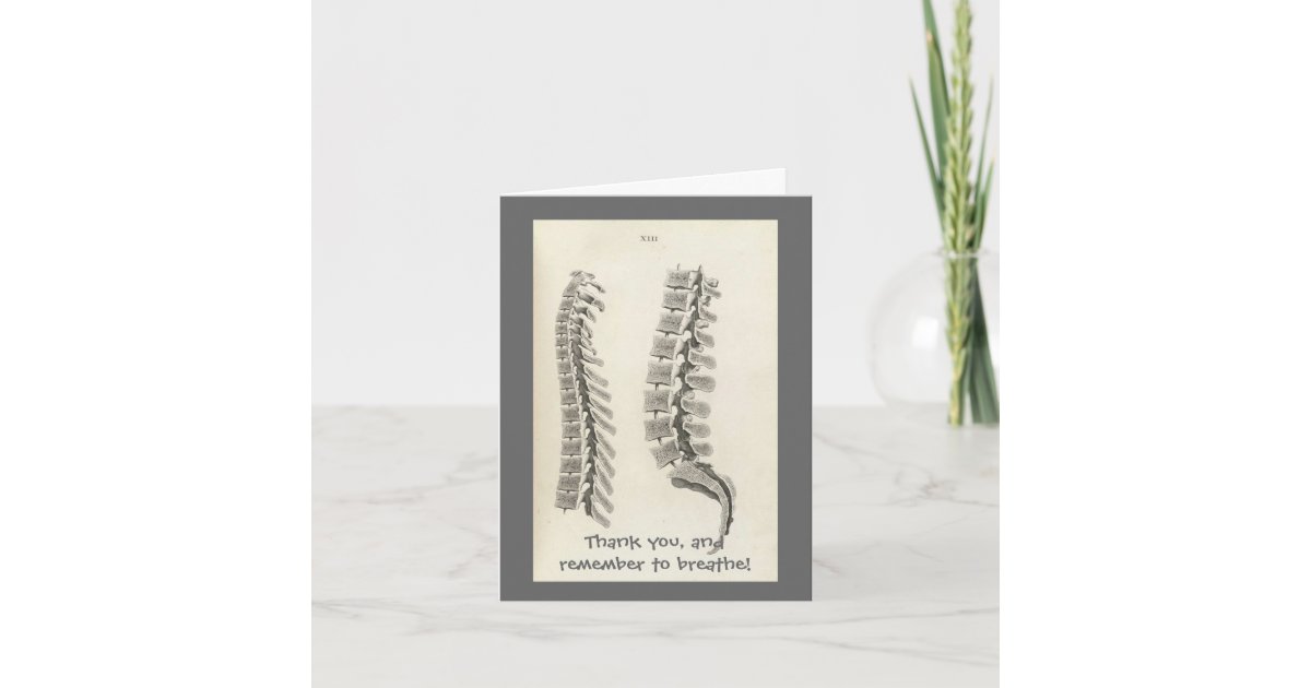 Vertebrae Drawing Thank You Card | Zazzle