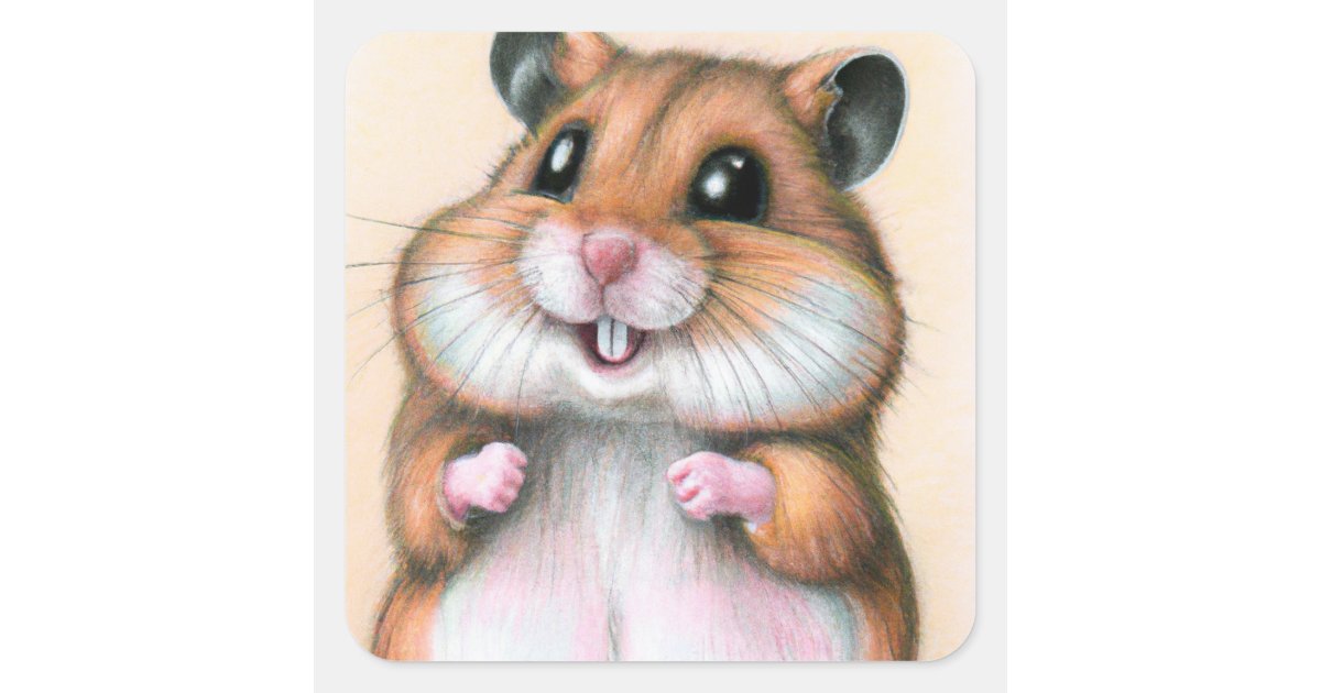 Very Cute Hamster Square Sticker | Zazzle