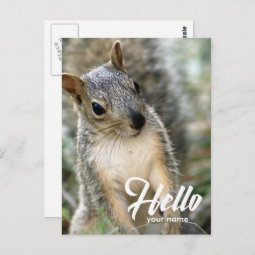Very cute lovely squirrel hello postcard | Zazzle