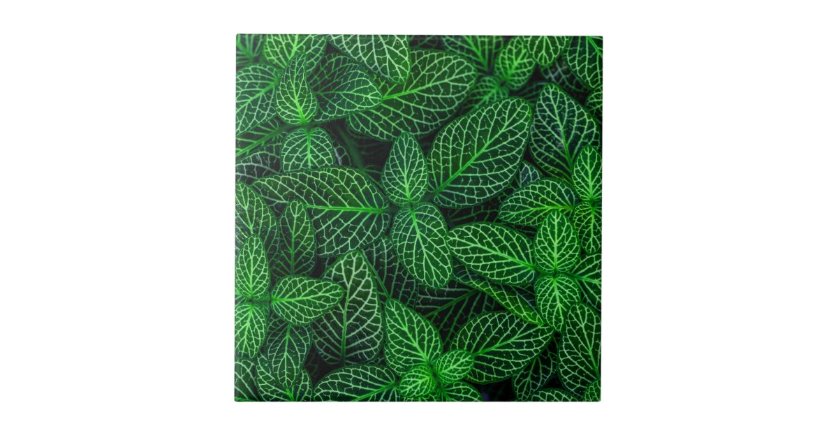 Very Green Leaf Pattern Ceramic Tile | Zazzle