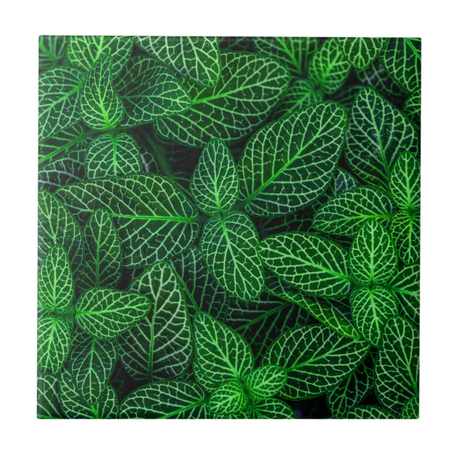 Very Green Leaf Pattern Ceramic Tile | Zazzle