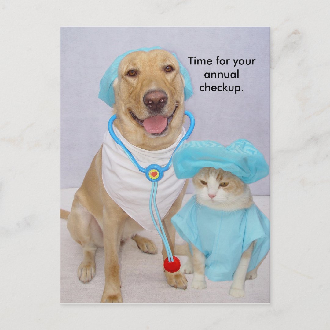 Vet Checkup Reminder Postcard | Zazzle