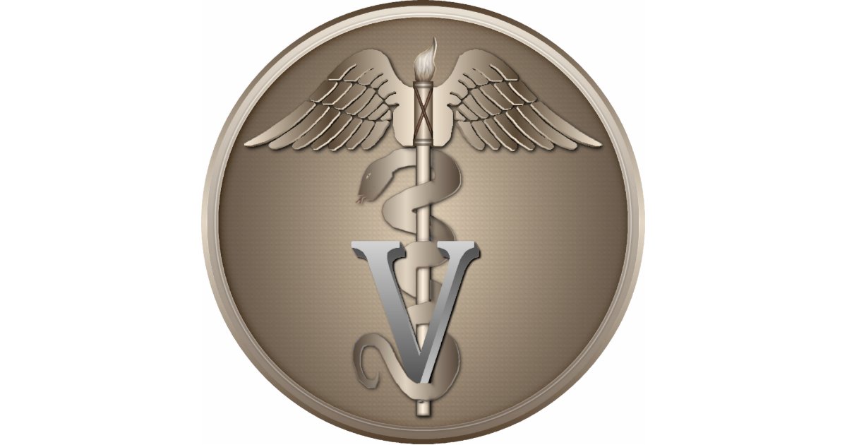 Veterinarian Caduceus Statuette | Zazzle