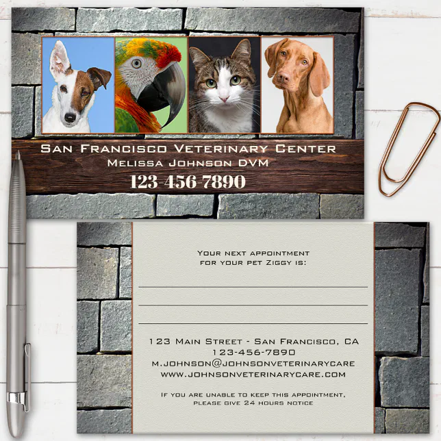Veterinarian Photo Appointment Business Card | Zazzle