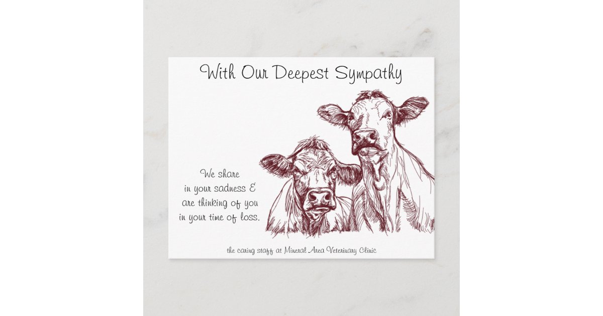 Veterinarian Sympathy Card Cows Cattle | Zazzle
