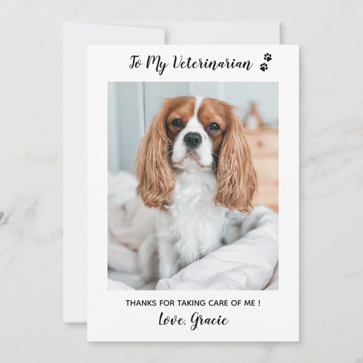 Veterinarian Vet Tech Pet Photo Veterinary Thank You Card | Zazzle