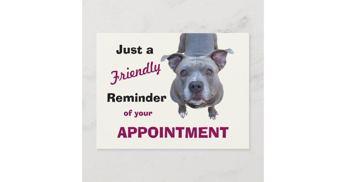 Veterinary Appointment Reminder Pitbull Postcard | Zazzle