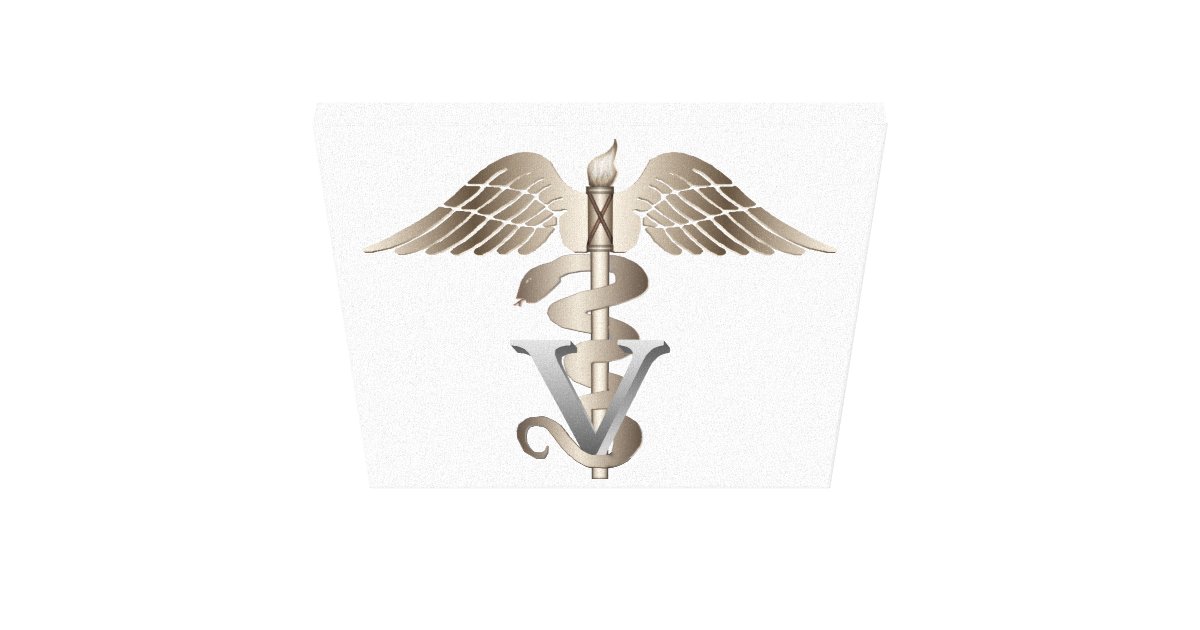 Veterinarian Caduceus Stock Illustration Illustration Of Caduceus stock ...