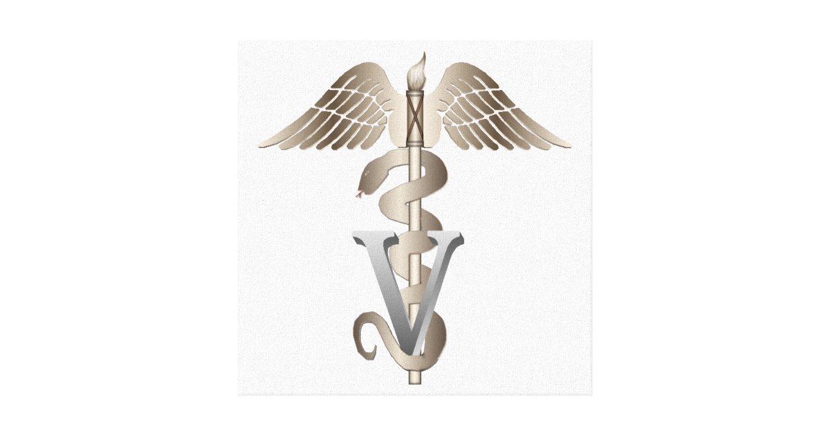 Veterinary Caduceus Canvas Print | Zazzle