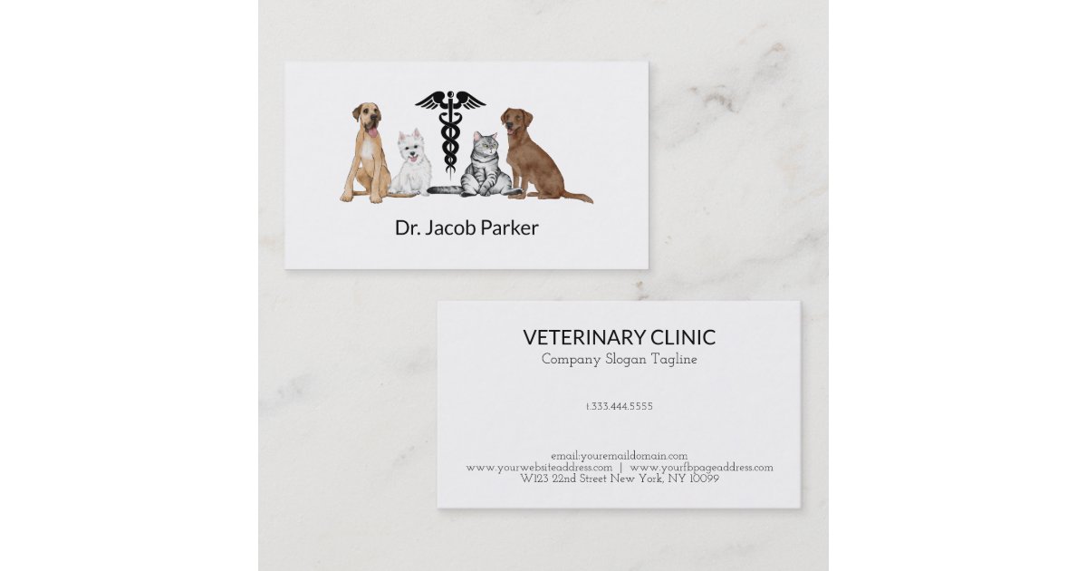 Veterinary Clinic Business Card | Zazzle