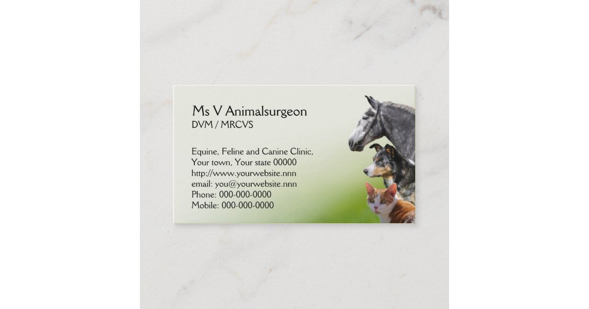 Veterinary practice appointment and business card | Zazzle