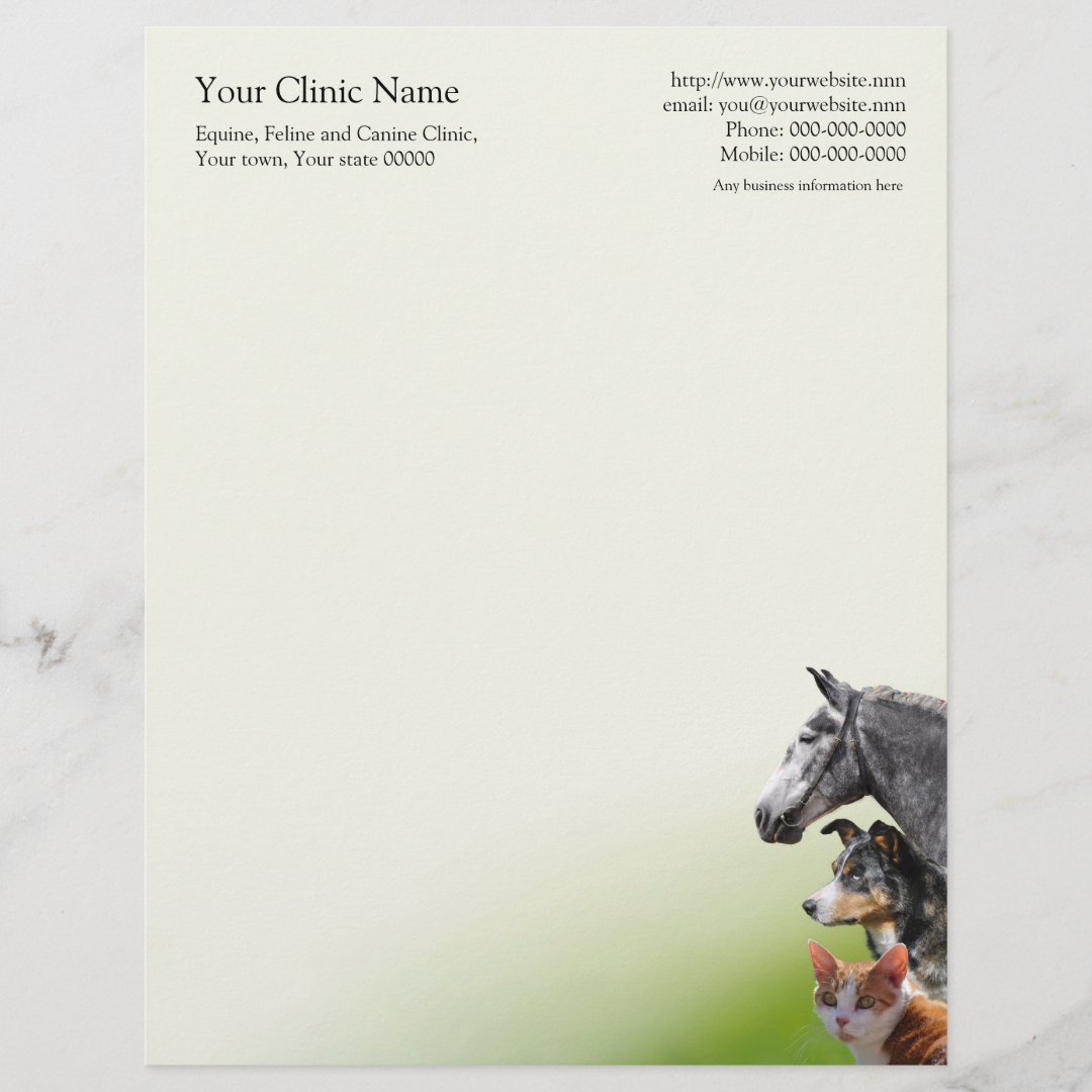 Veterinary surgeon business letterhead | Zazzle