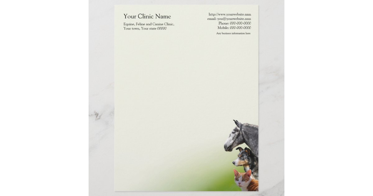 Veterinary surgeon business letterhead | Zazzle