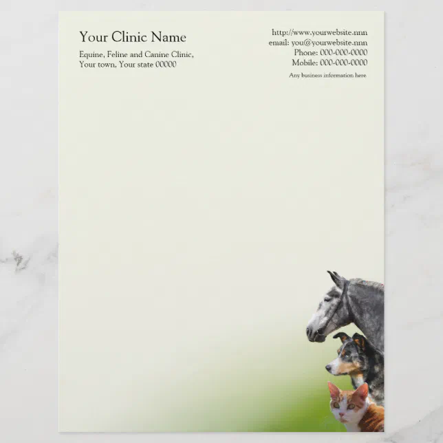 Veterinary surgeon business letterhead | Zazzle