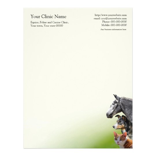 Veterinary surgeon business letterhead | Zazzle.com