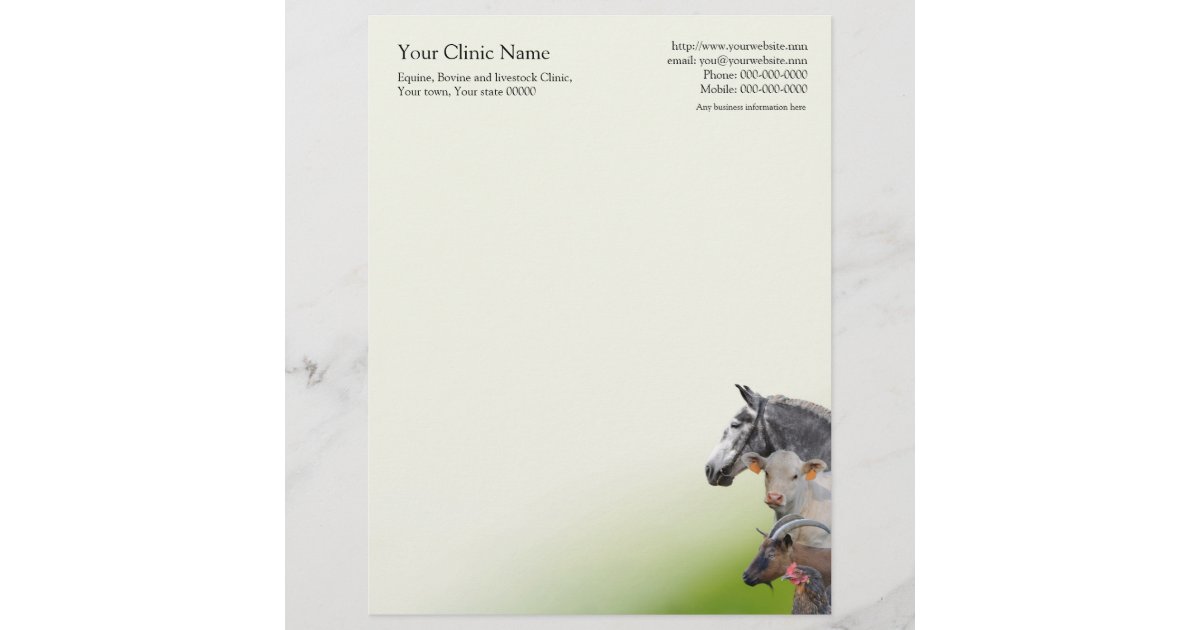 Veterinary surgeon business letterhead | Zazzle