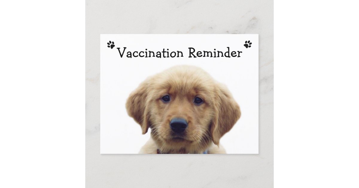 Veterinary Vaccination Reminder Puppy Postcard | Zazzle