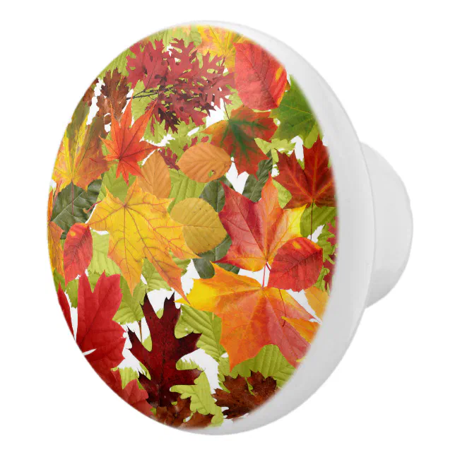 Vibrant Autumn Fall Leaves Collage Ceramic Knob | Zazzle