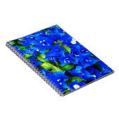 Vibrant Blue Bougainvillea Flowers Notebook | Zazzle