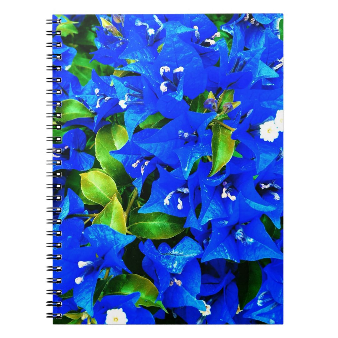 Vibrant Blue Bougainvillea Flowers Notebook | Zazzle