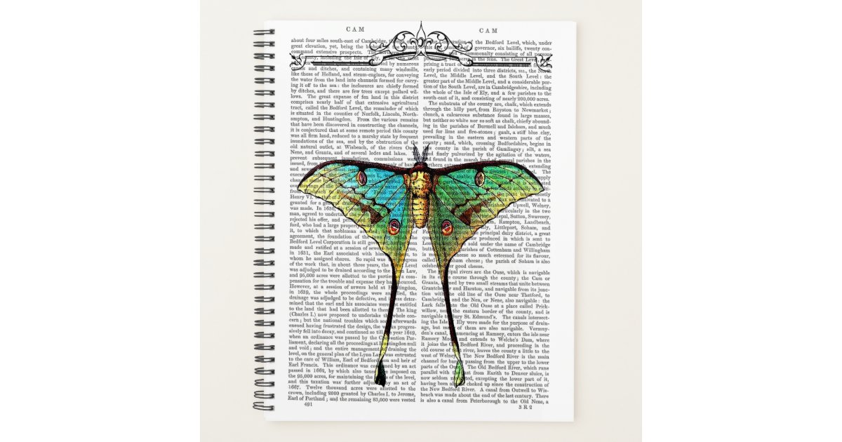 Vibrant Butterfly Planner | Zazzle