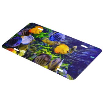 Vibrant Colorful Aquatic Tropical Sea Fish License Plate | Zazzle