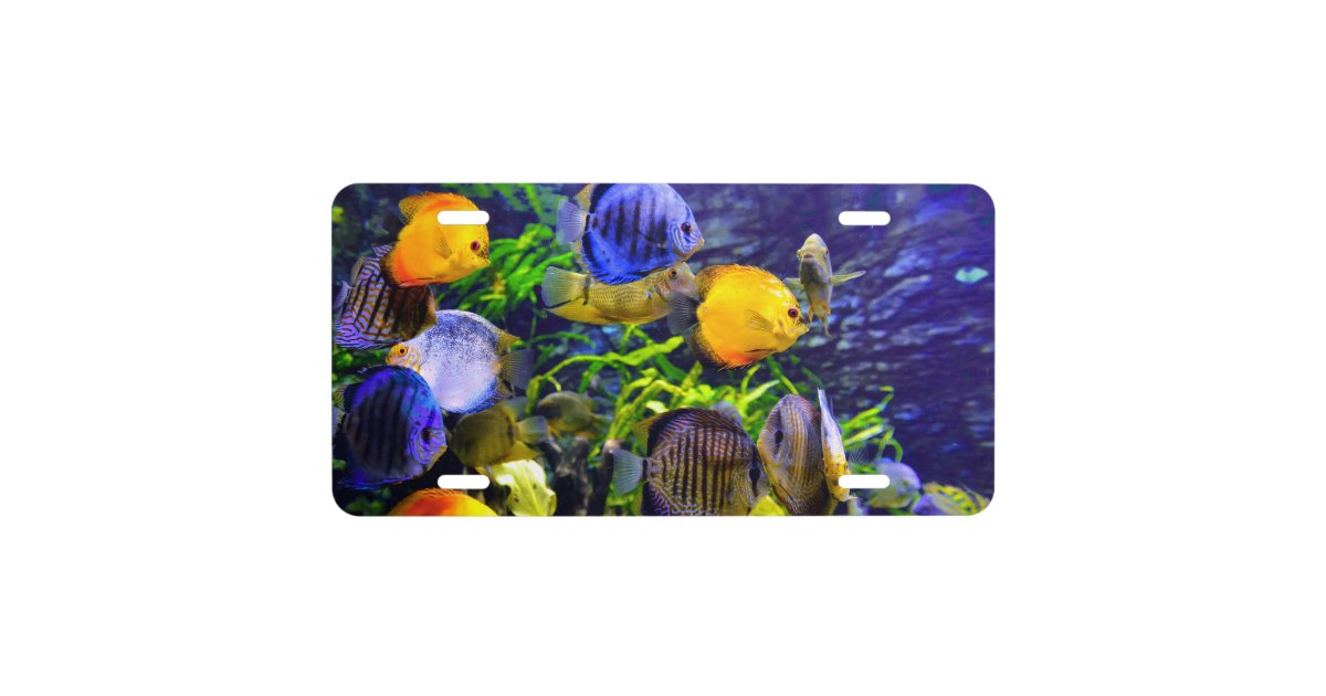 Vibrant Colorful Aquatic Tropical Sea Fish License Plate | Zazzle