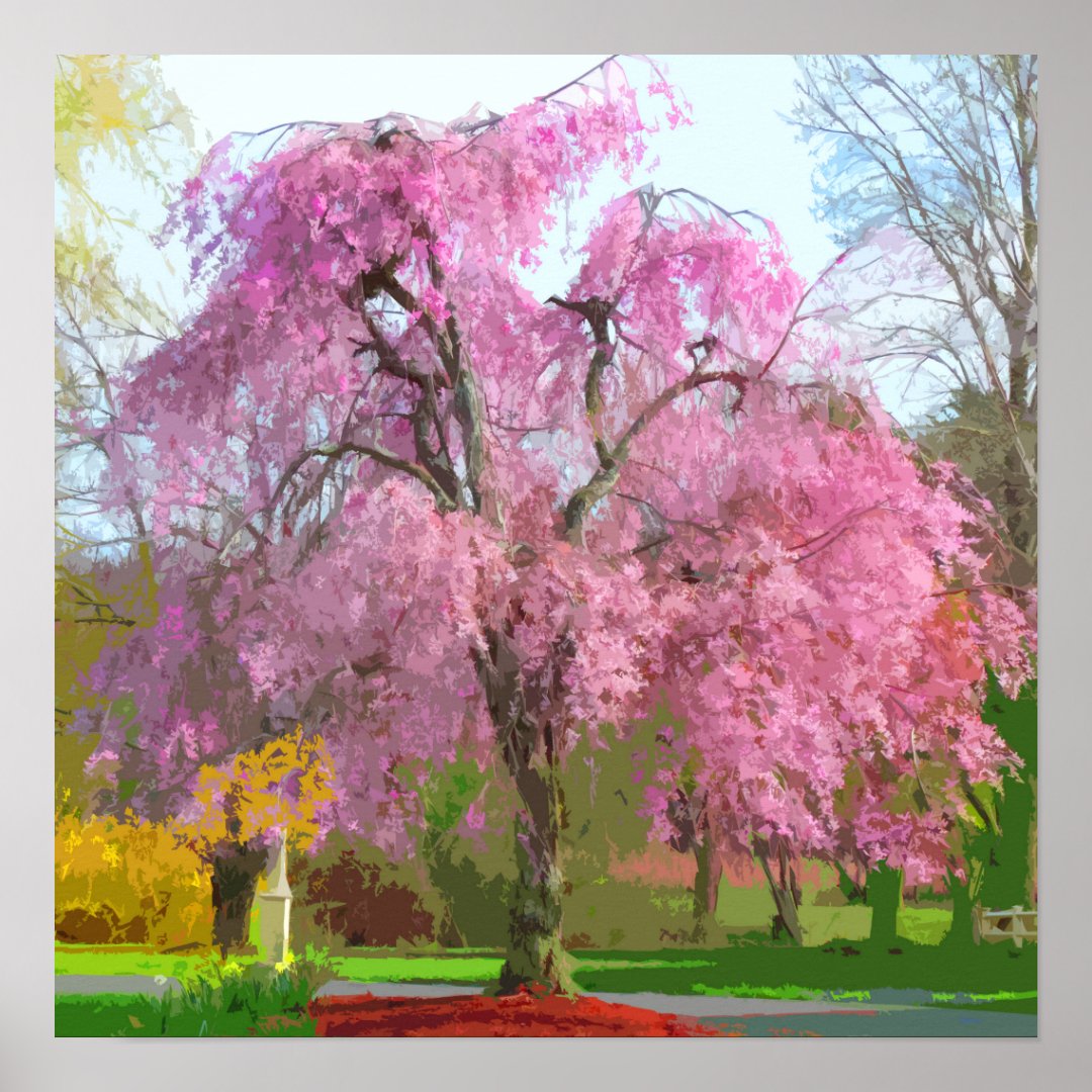 Vibrant Flowering Pink Tree in Spring Poster | Zazzle