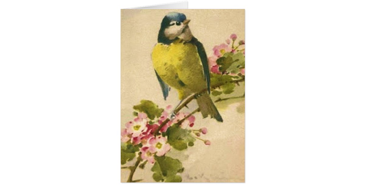 Victorian Bird Illustration | Zazzle