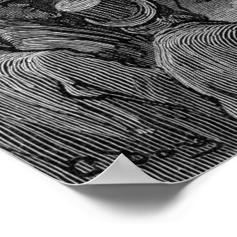 Victorian Boxing match Poster | Zazzle