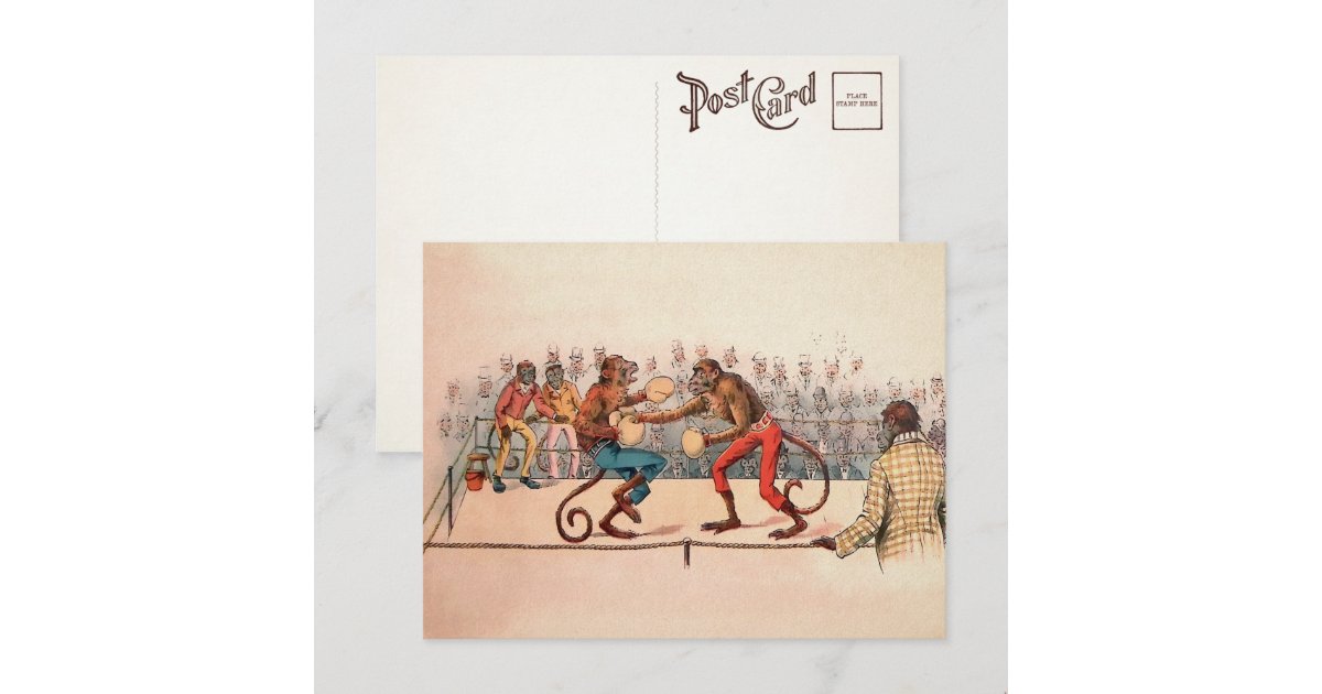 Victorian Boxing Monkeys Postcard | Zazzle