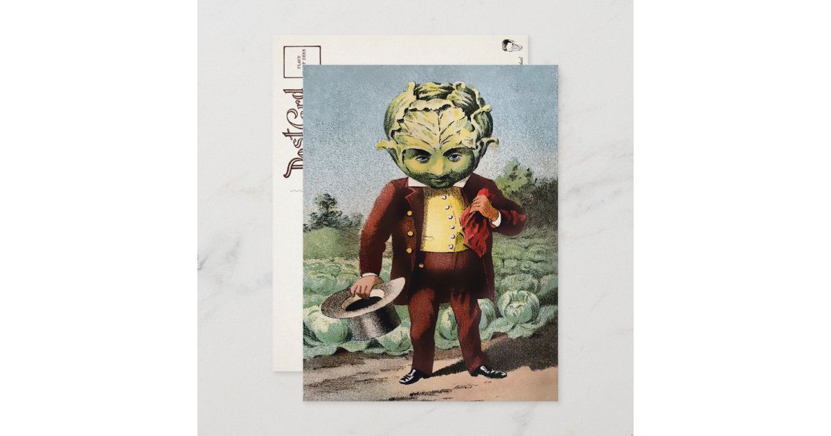 Victorian Cabbage Head Postcard | Zazzle