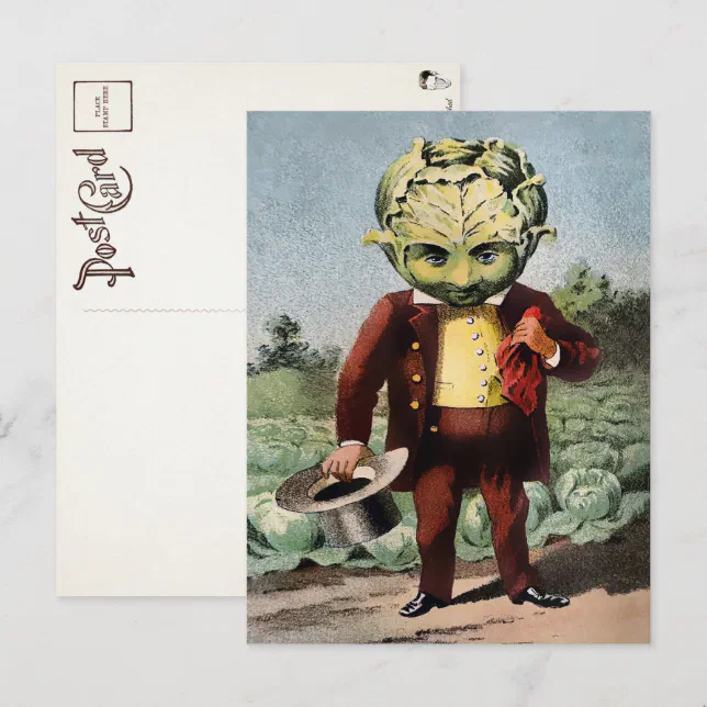 Victorian Cabbage Head Postcard | Zazzle