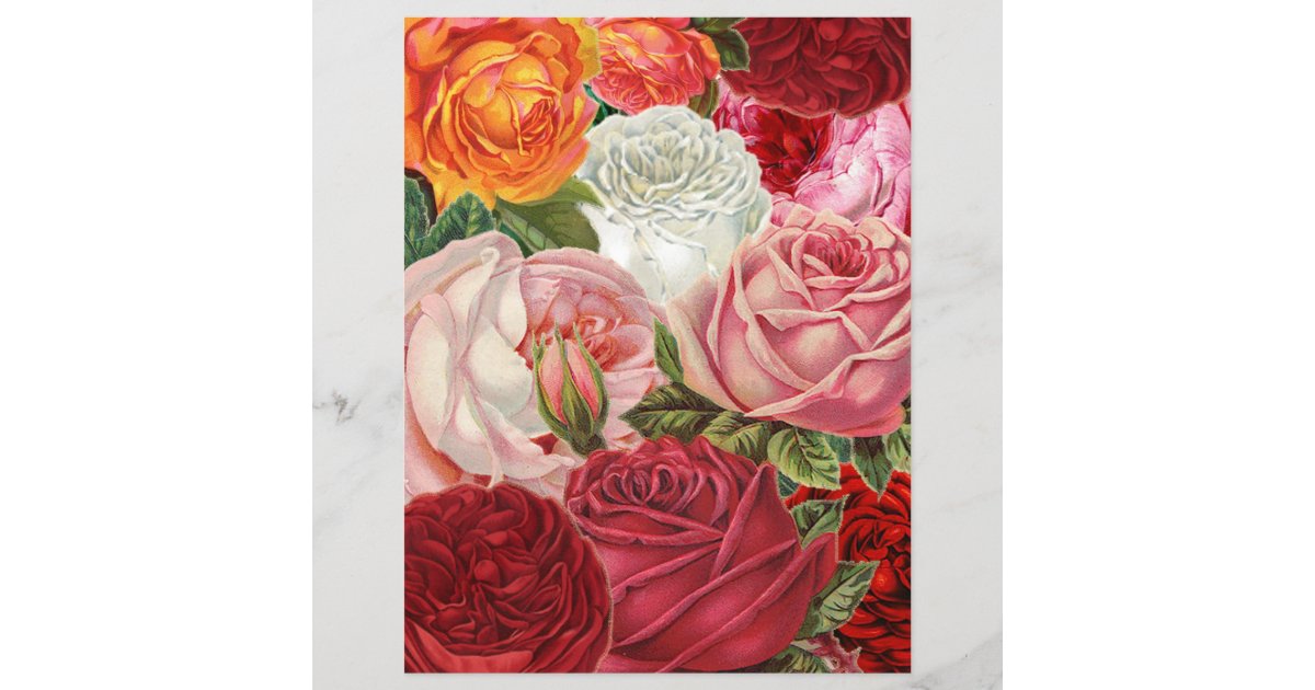 Victorian Cabbage Roses Collage Scrapbook Paper | Zazzle
