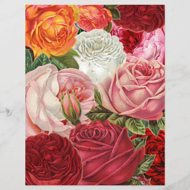 Victorian Cabbage Roses Collage Scrapbook Paper | Zazzle