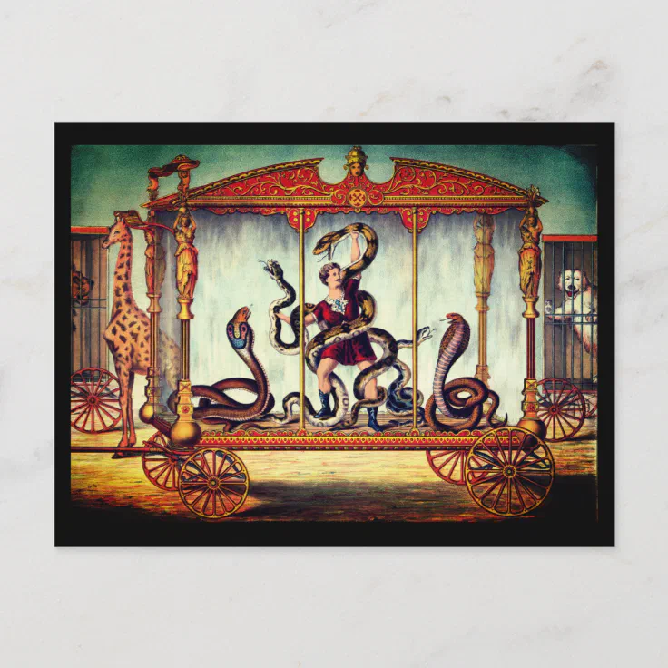 Victorian circus vintage exhibition postcard | Zazzle