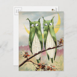 Victorian Corn Owls Postcard | Zazzle