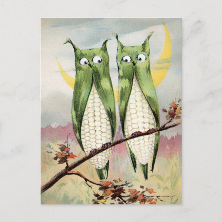 Victorian Corn Owls Postcard | Zazzle