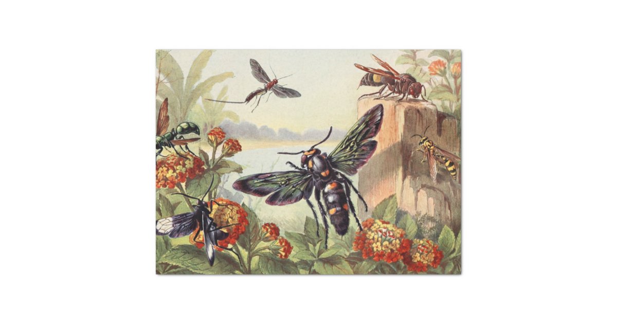 Victorian Insects Amongst Victorian Flowers Tissue Paper | Zazzle