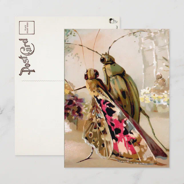 Victorian Insects Postcard | Zazzle