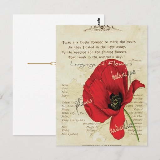 Victorian Language of Flowers Postcard | Zazzle