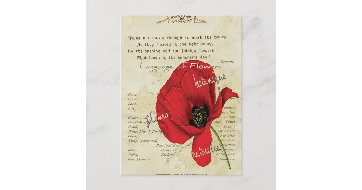 Victorian Language of Flowers Postcard | Zazzle