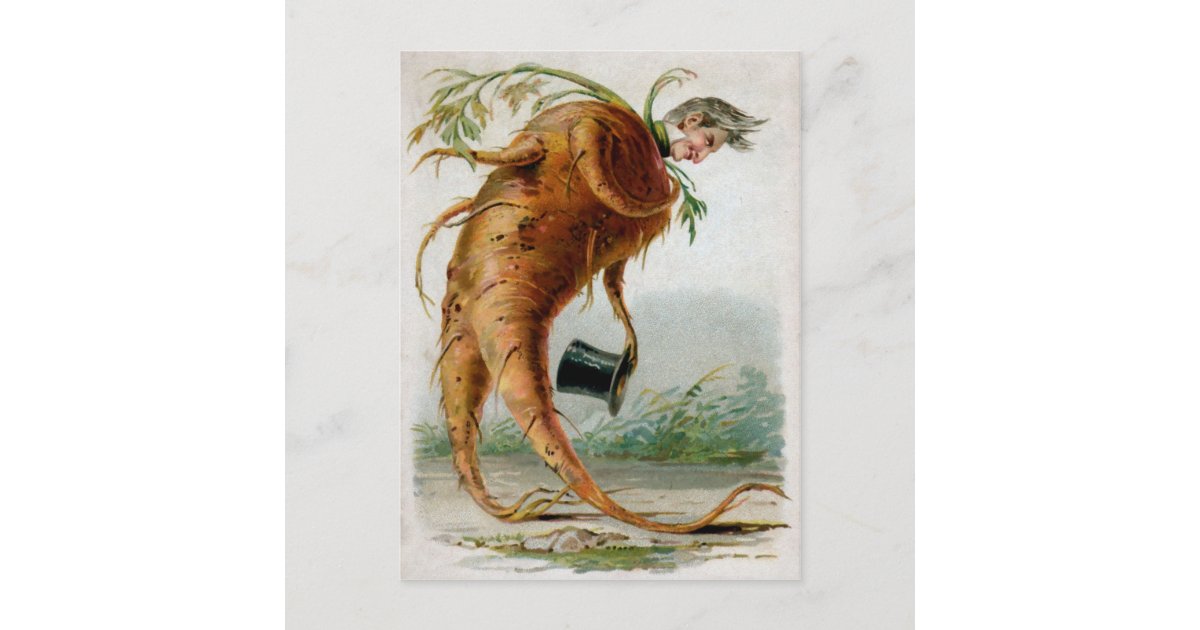 Victorian Odd Root Man Postcard | Zazzle