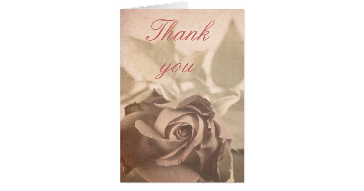 Victorian rose - Thank you card | Zazzle