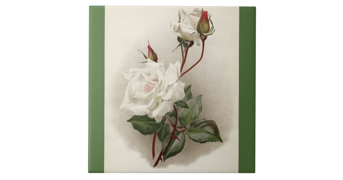 Victorian White Roses Green Ceramic Tile | Zazzle