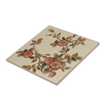 Victorian Wild Rose Transferware Repro Art Ceramic Tile | Zazzle