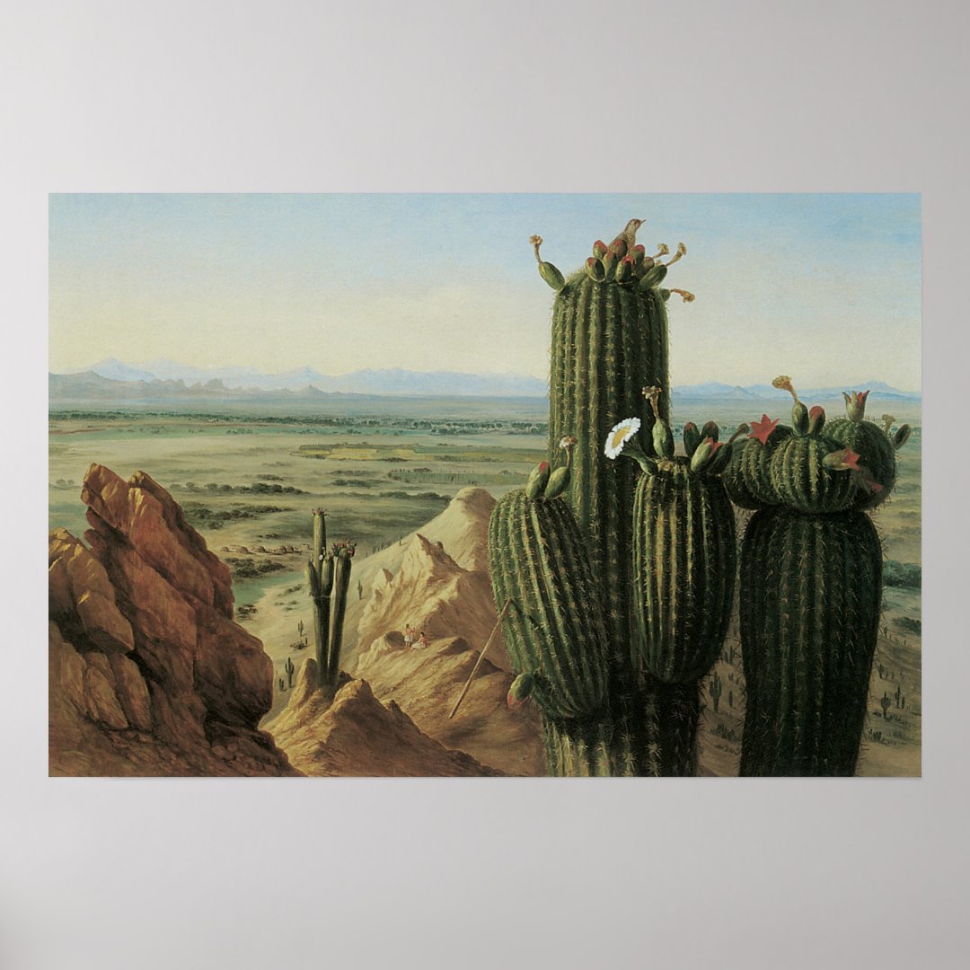 View from Maricopa Mountain Near Rio Gila by Pratt Poster | Zazzle