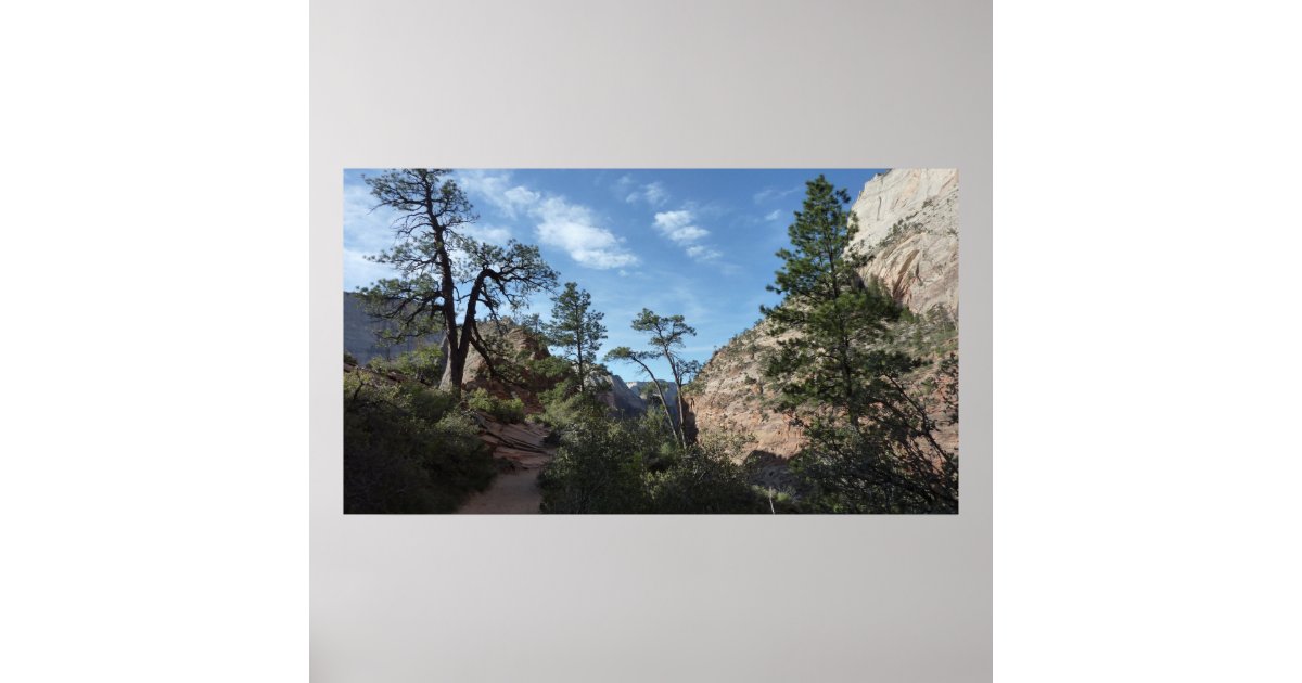 View from Scout Lookout at Zion National Park Poster | Zazzle