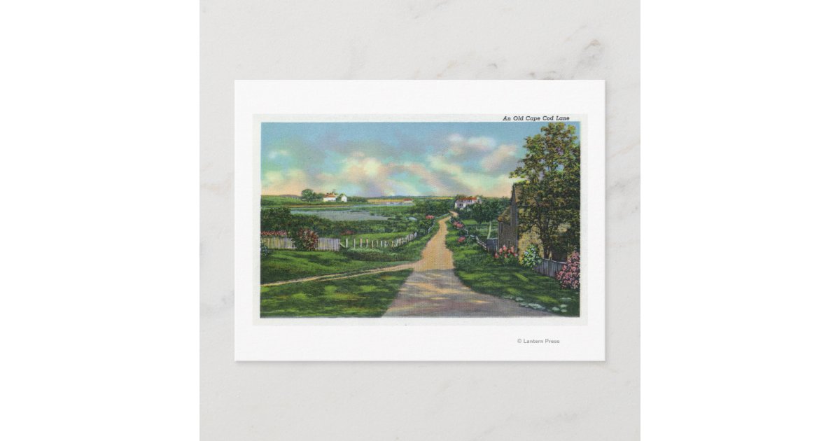 View of an Old Cape Cod Lane Postcard | Zazzle